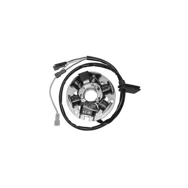 STATORE COMPLETO C/PIASTRA MINARELLI AM6 - Giugo